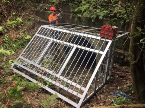 Motorway Stormwater Culvert Grilles - Issa Engineering